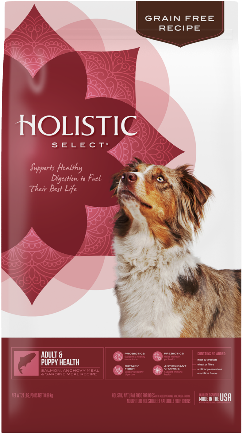 Holistic Select Grain Free Dog Food Review