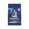 Advance Dog Food Review