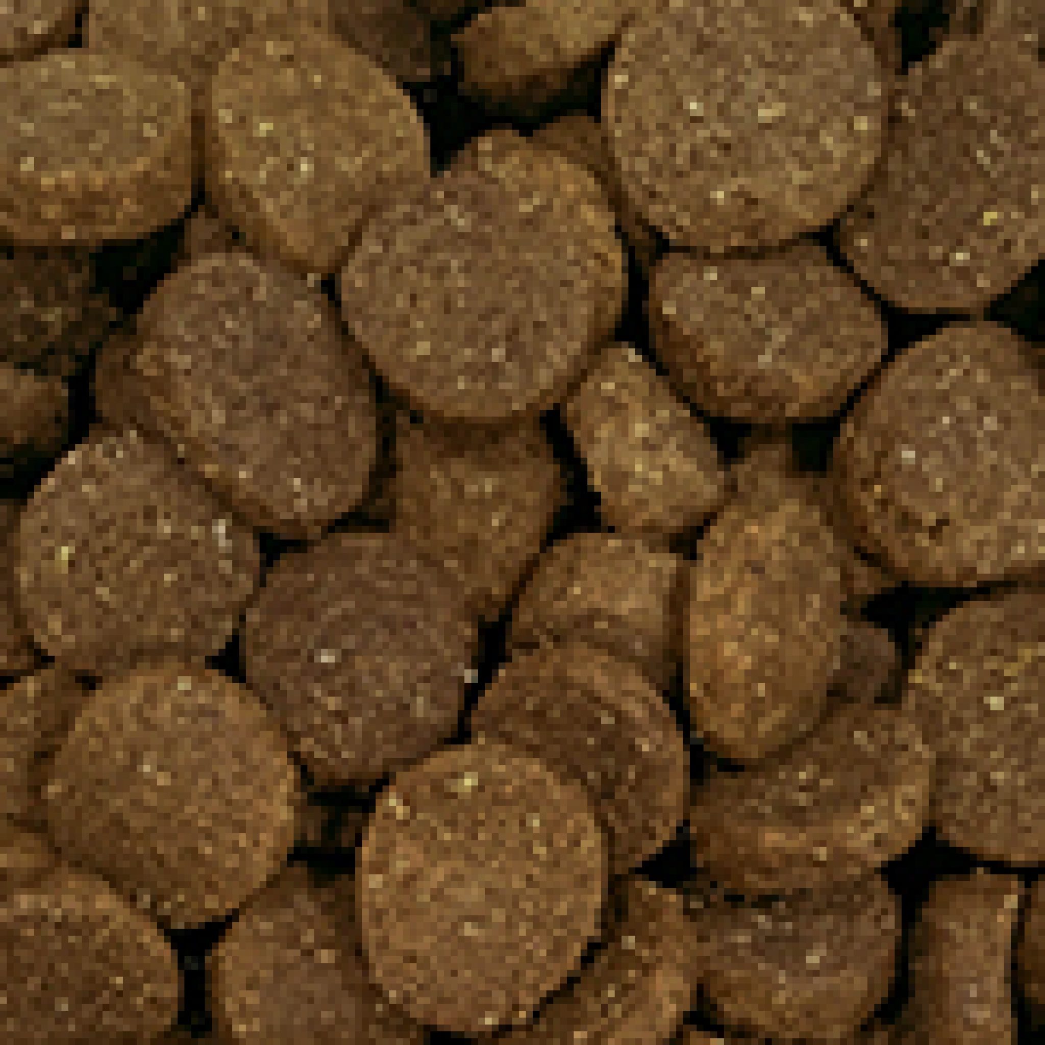 LifeWise BIOTIC Dog Food Review