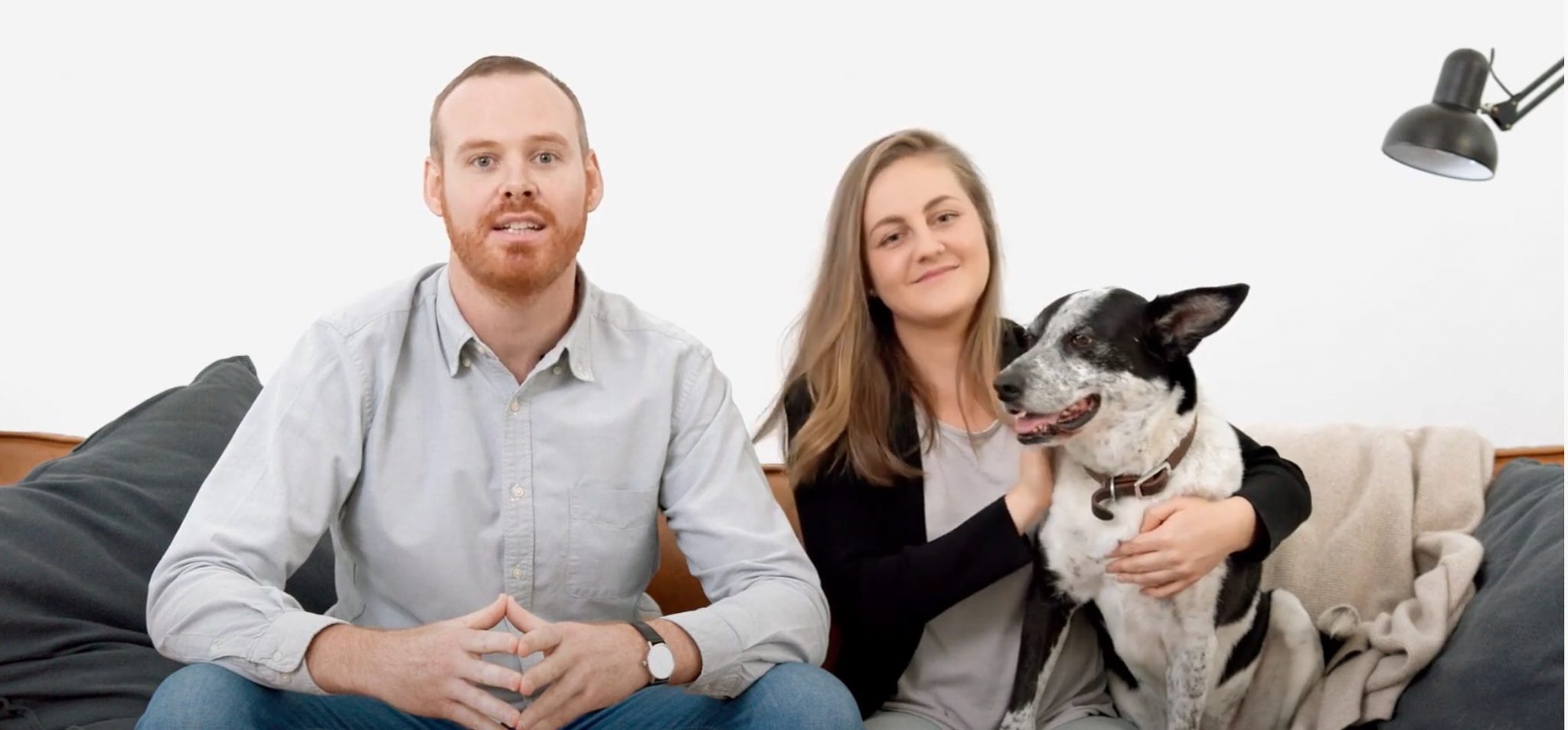 Lyka Dog Food Review