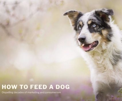 Good-o Dog Food Review