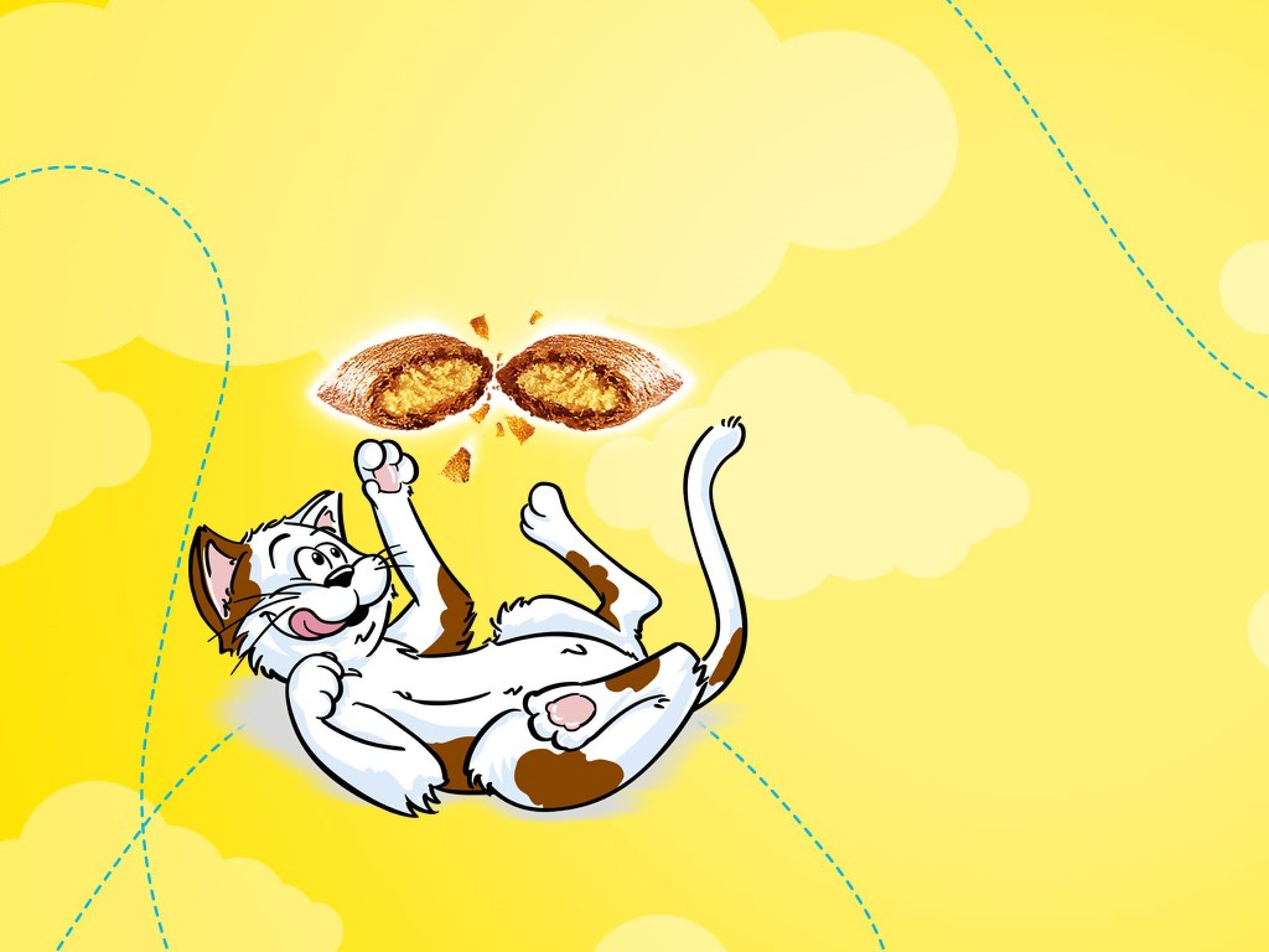 Temptations Cat Treats Review