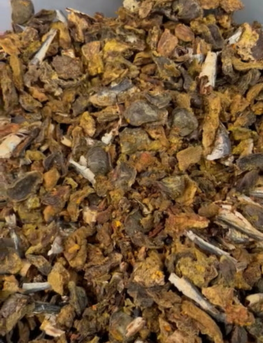 Healthy Active Pet Dog Food Review