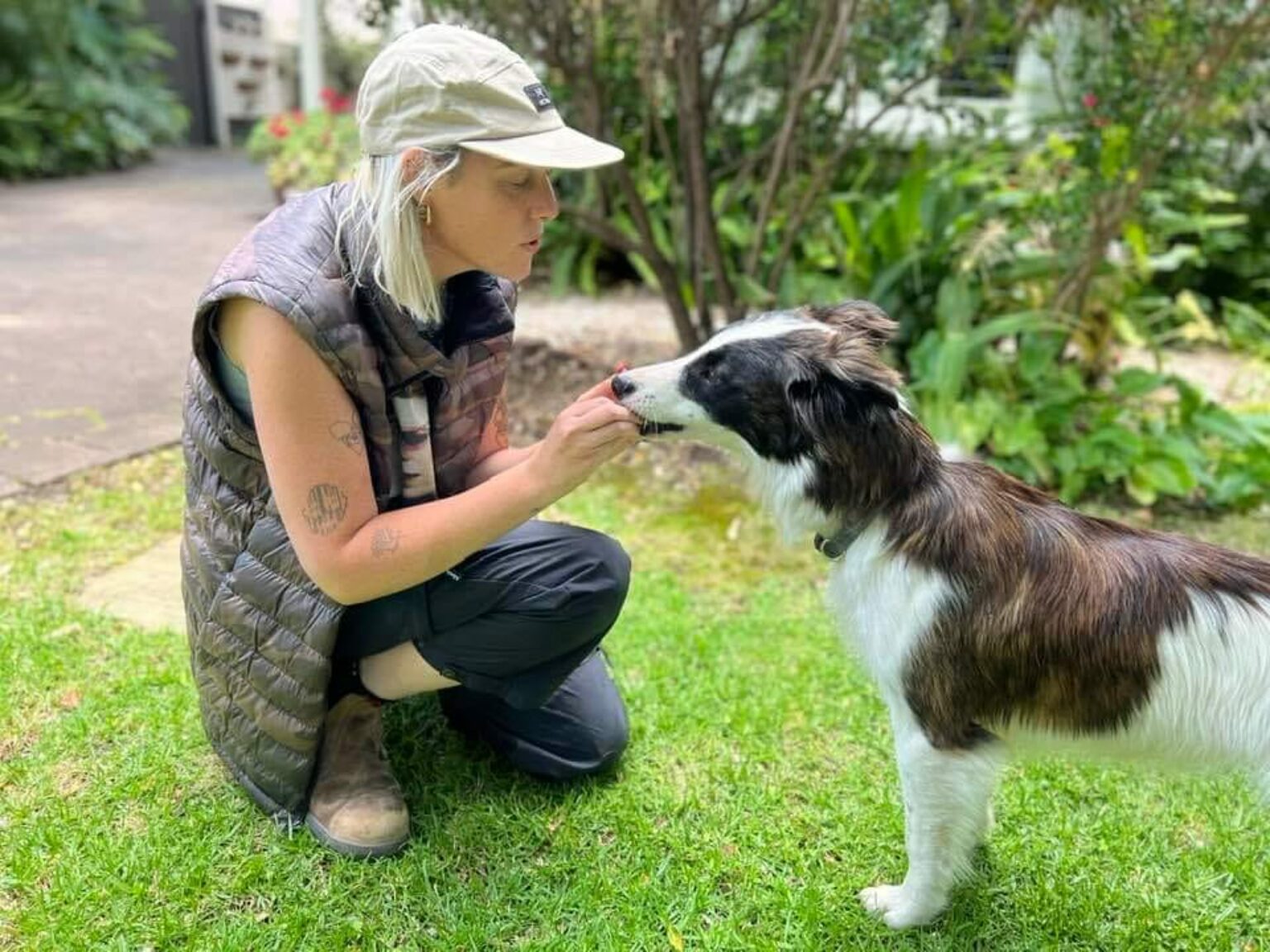 Rescuing a Dog - A Complete Guide