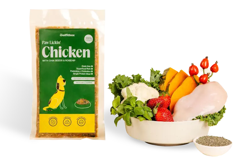 WolfIt Box Dog Food Review