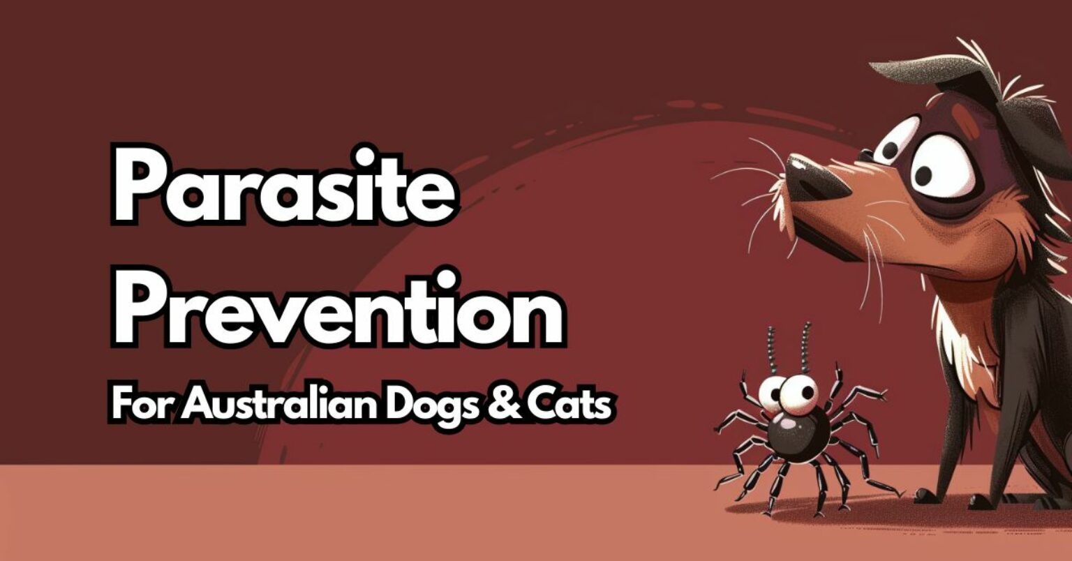 Parasite Prevention: A Guide for Australian Dogs & Cats