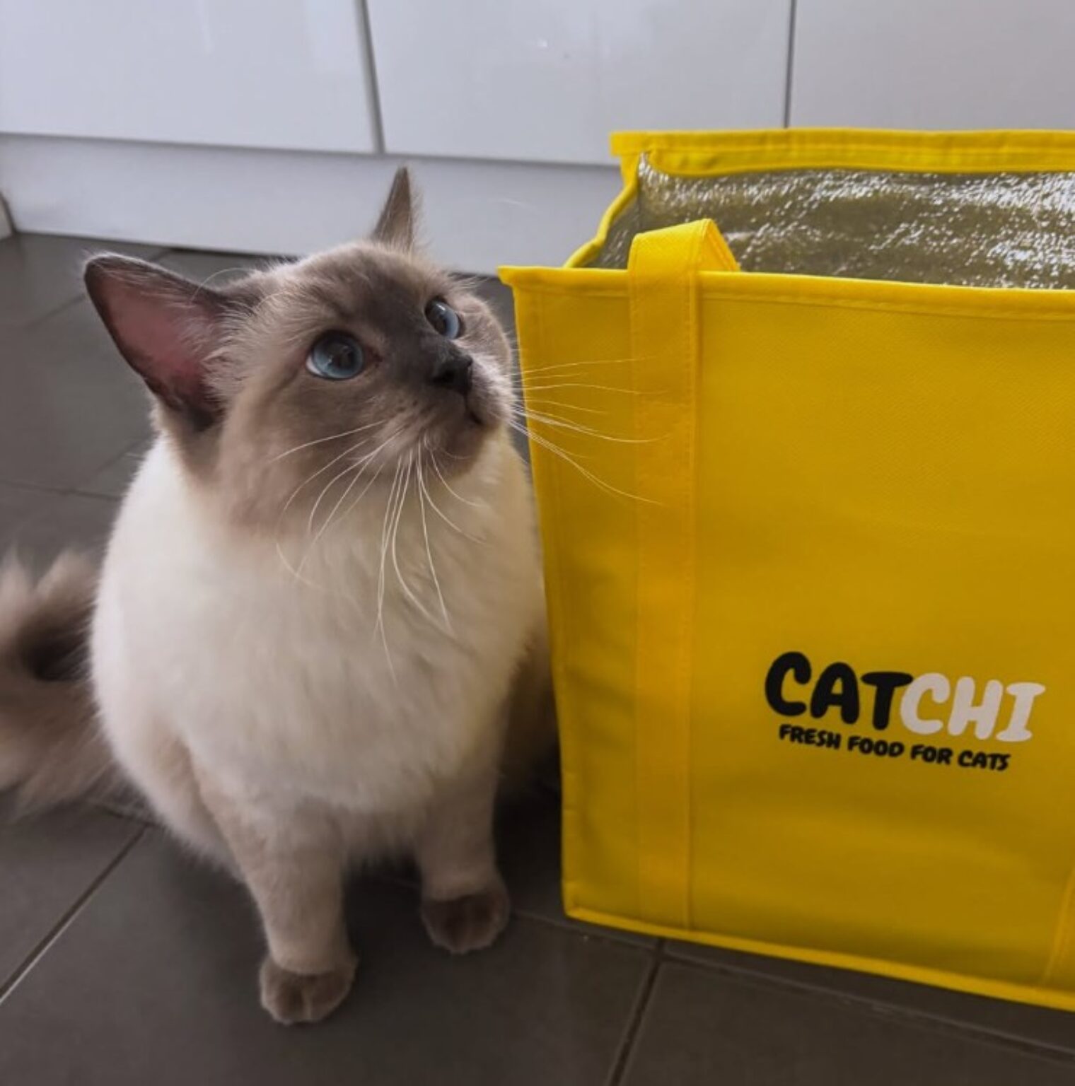 CatChi Cat Food Review