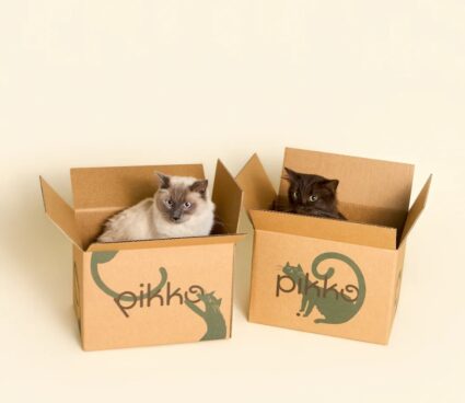 Pikko Cat Food Review