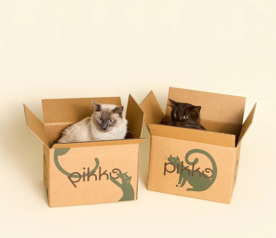 Pikko Cat Food Review